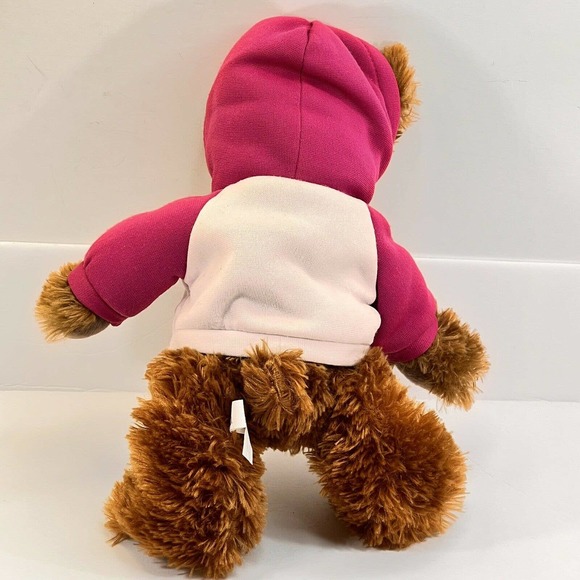 Good Stuff | Toys | Teddy Bear Property Of Chuck E Cheeses Pink Hoodie ...